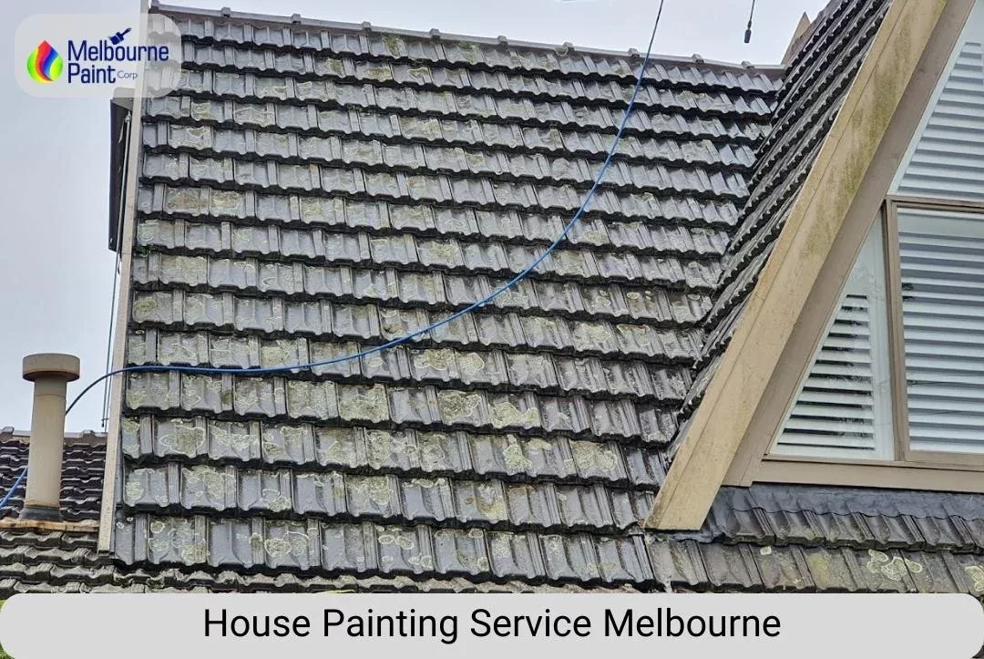 House Painting Service Melbourne | Melbourne Paint